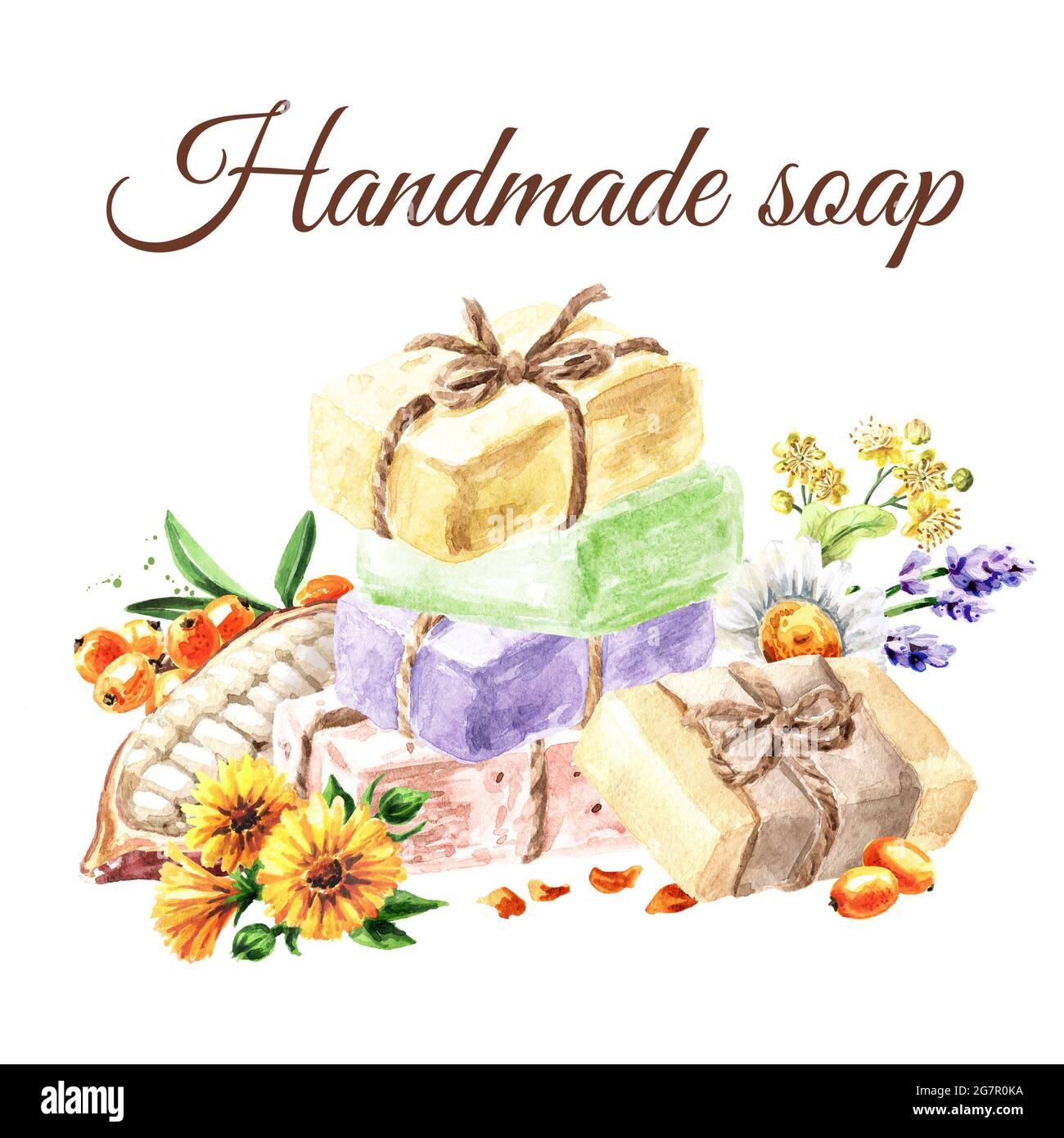 Natural handmade herbal soap card. Watercolor hand drawn illustration ...