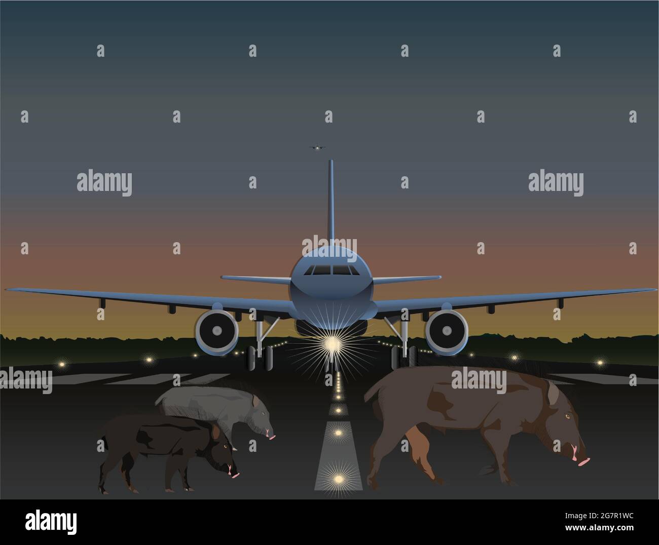 Flight Safety- Animals crossing runway at night during landing of an ...