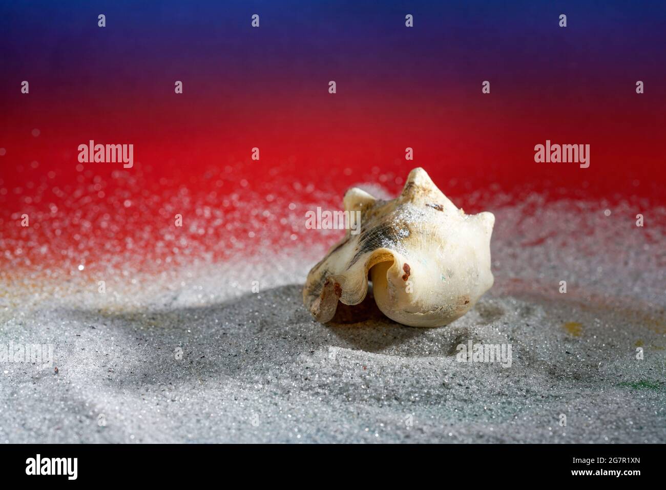 Closeup shot of a seashell with sand spread over colorful surface Stock ...