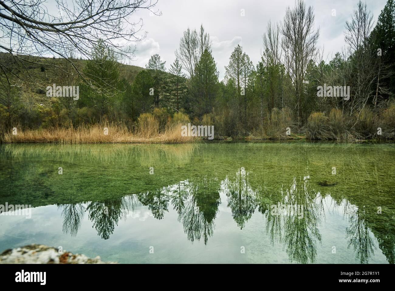 Beautiful scenery of clear lake surrounded by trees with reflection on ...