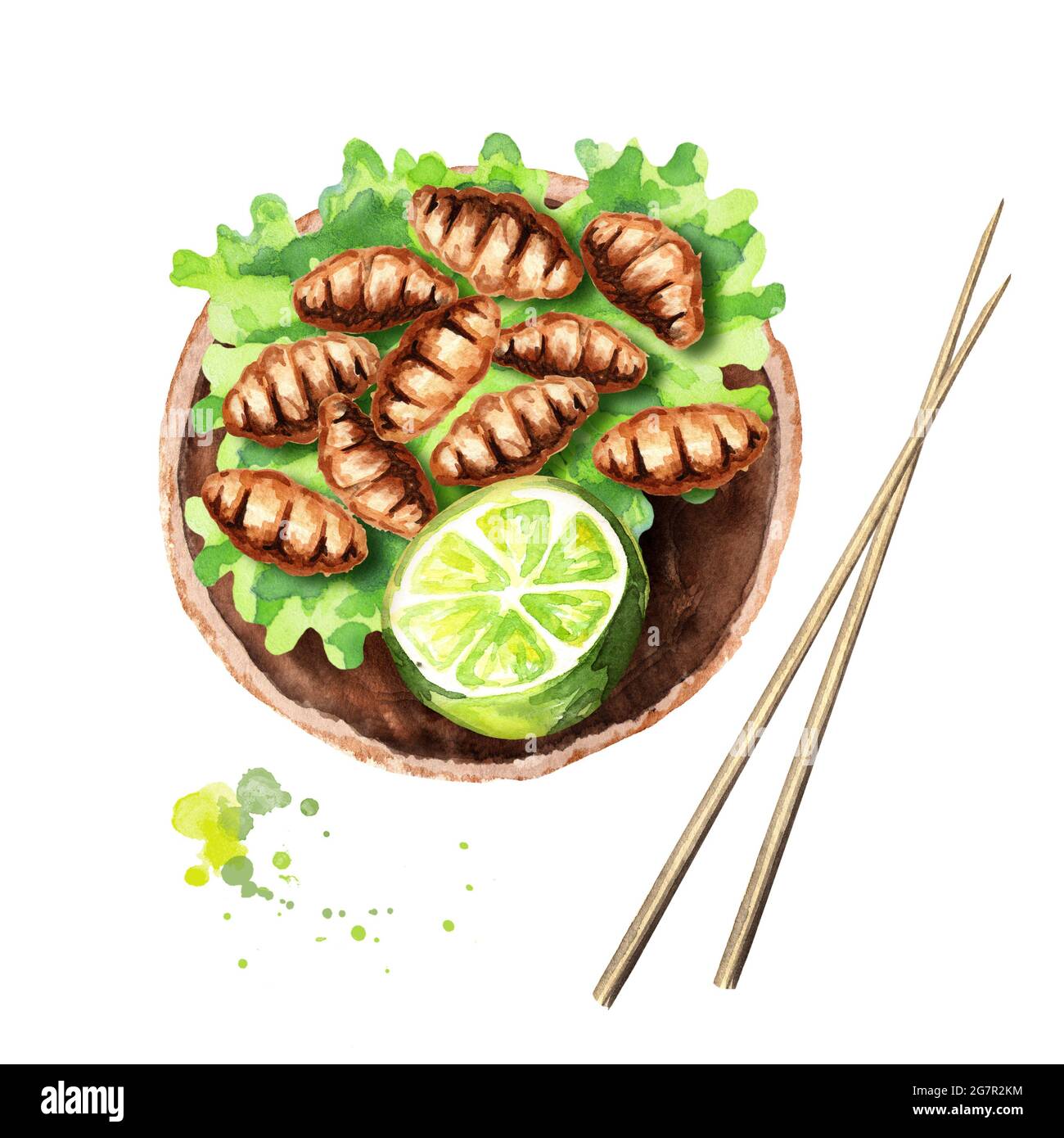 Fried insects wood worm with lime and lettuce. Asian food, isolated on ...