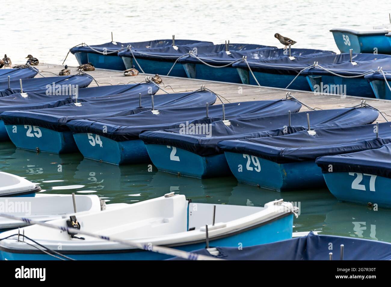 Blue boats moored in line along the jetty Stock Photo - Alamy