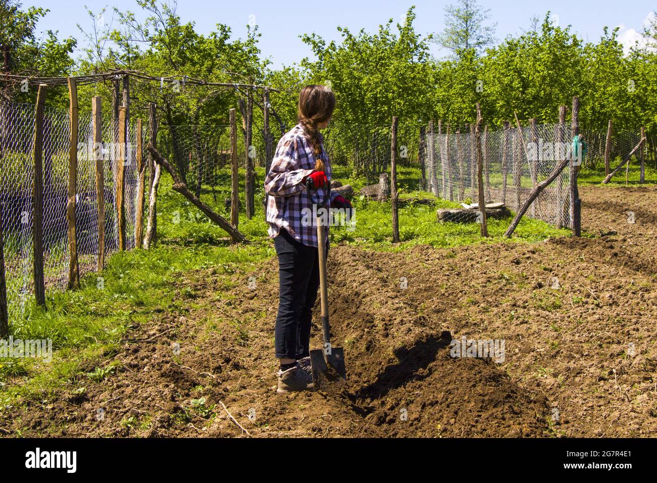 Working in the field, agricultural scene in Georgia Stock Photo - Alamy