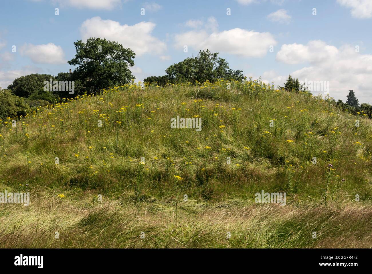 Shawell hi-res stock photography and images - Alamy