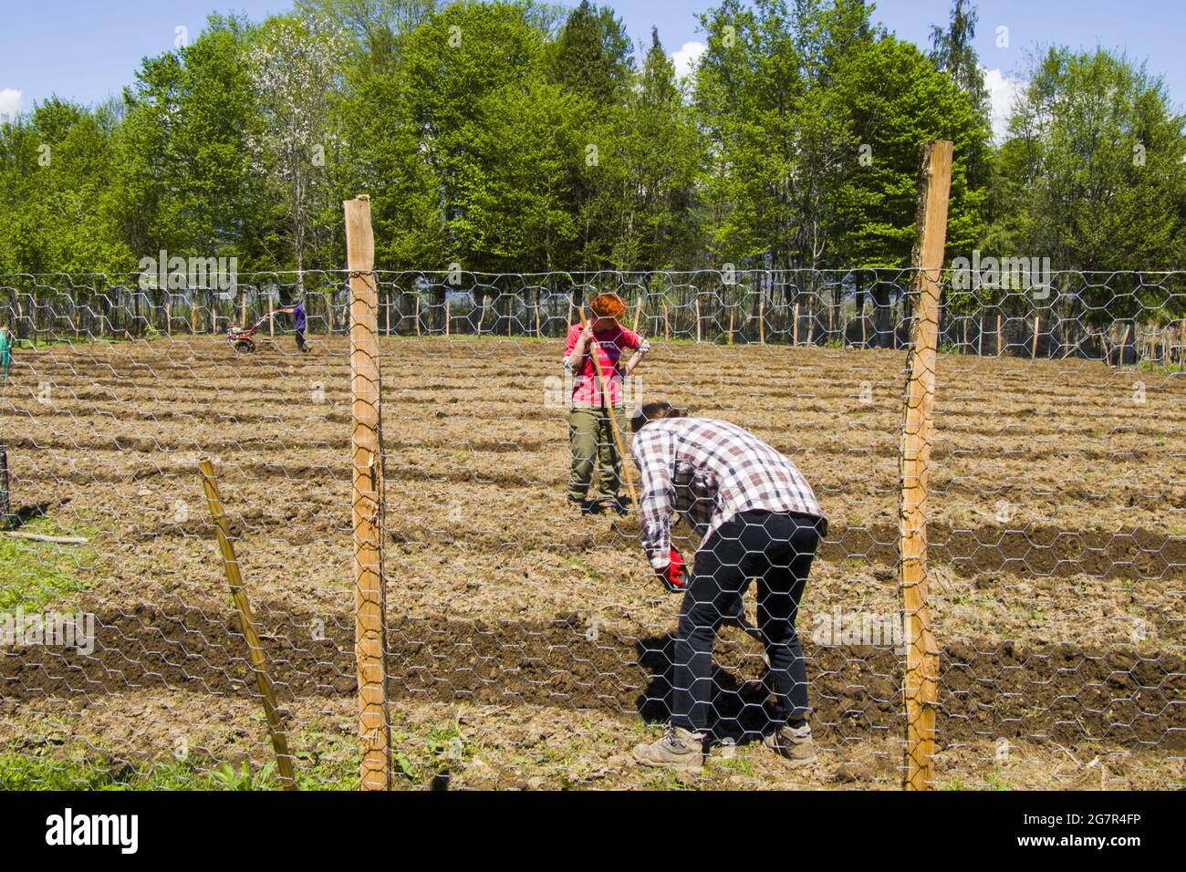 Working in the field, agricultural scene in Georgia Stock Photo - Alamy