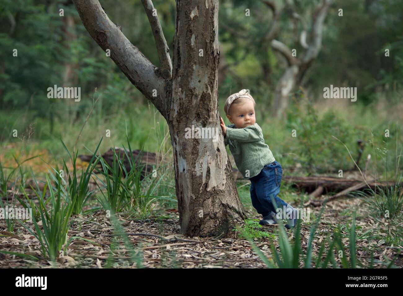Australian kid hiding behind a tree Stock Photo - Alamy