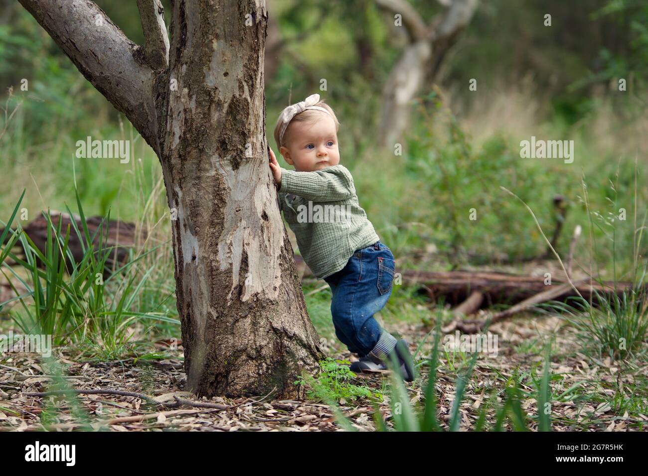 Australian kid hiding behind a tree Stock Photo - Alamy