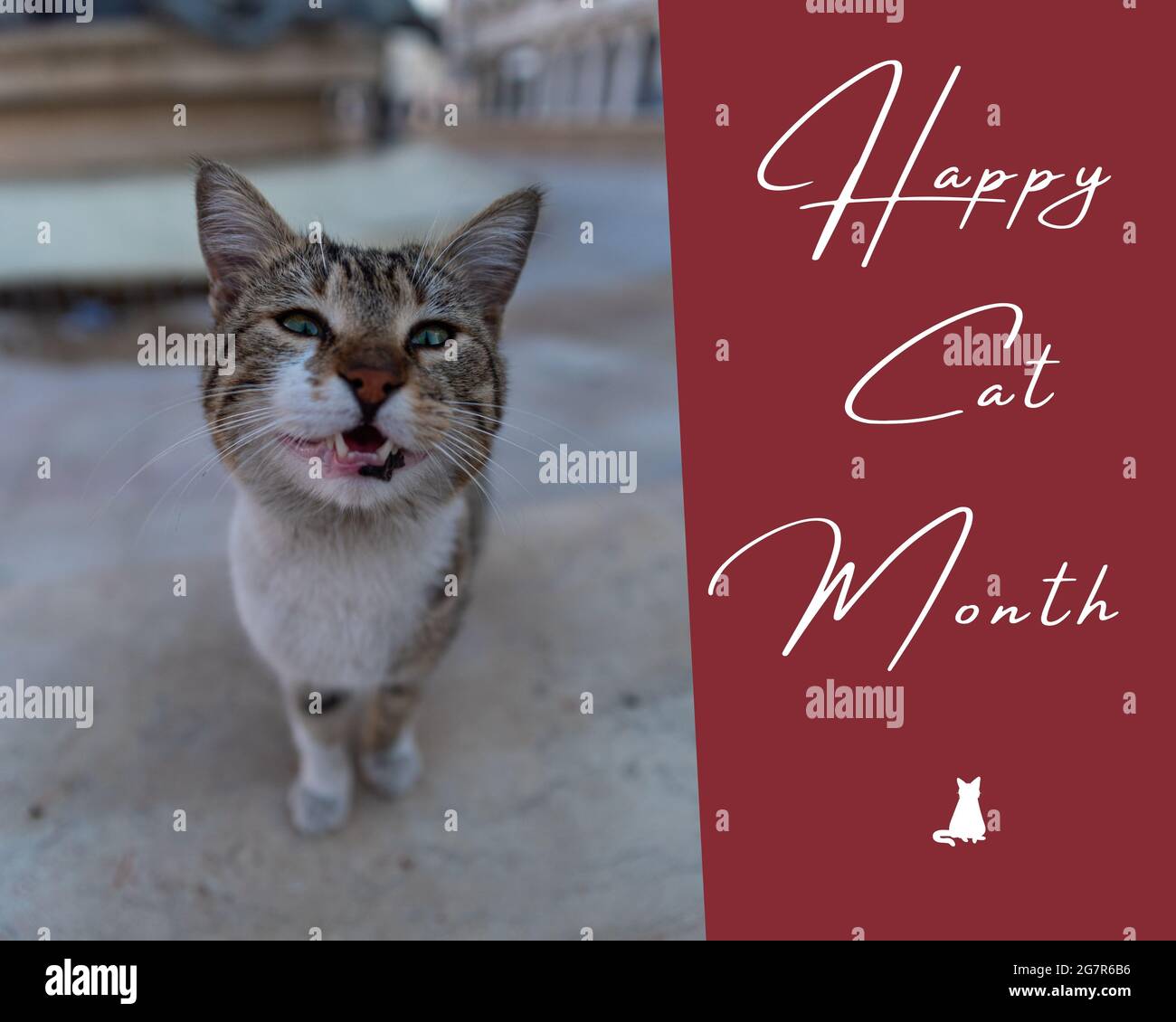 Cat doctor drawing hi-res stock photography and images - Alamy