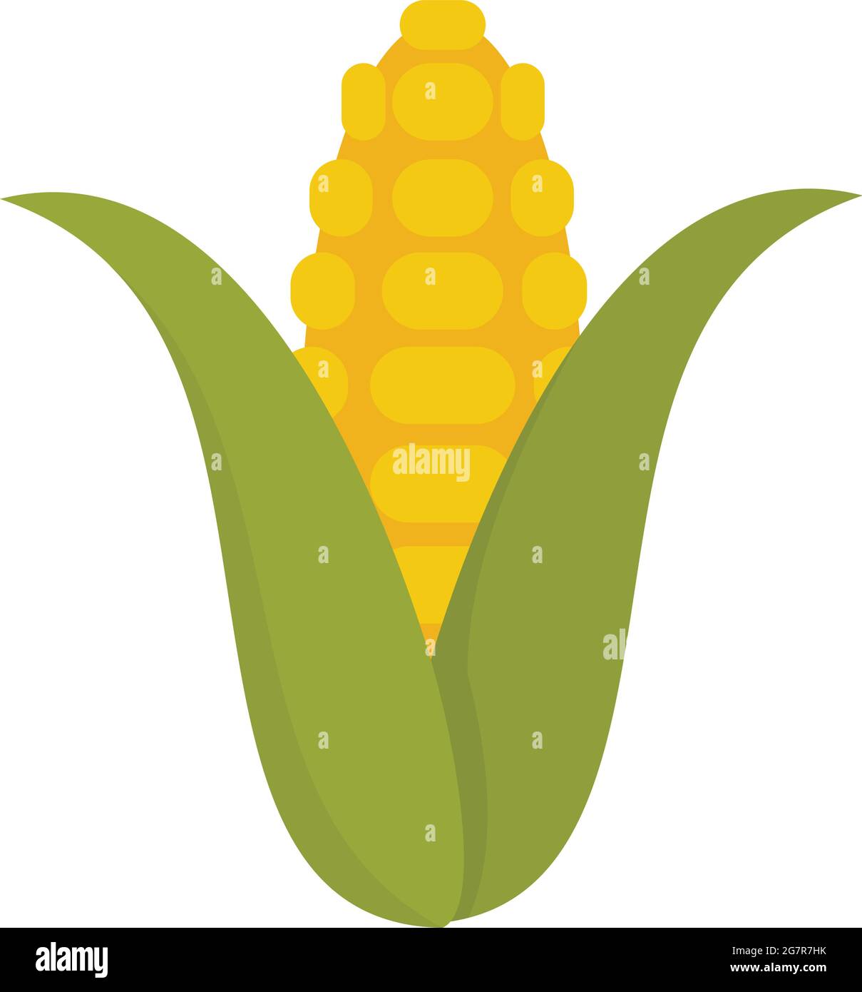 Corn plant icon. Flat illustration of corn plant vector icon isolated on white background Stock ...