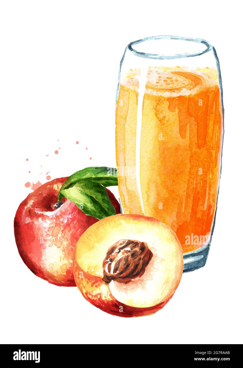 Glass of fresh Nectarine peache juice. Hand drawn watercolor ...