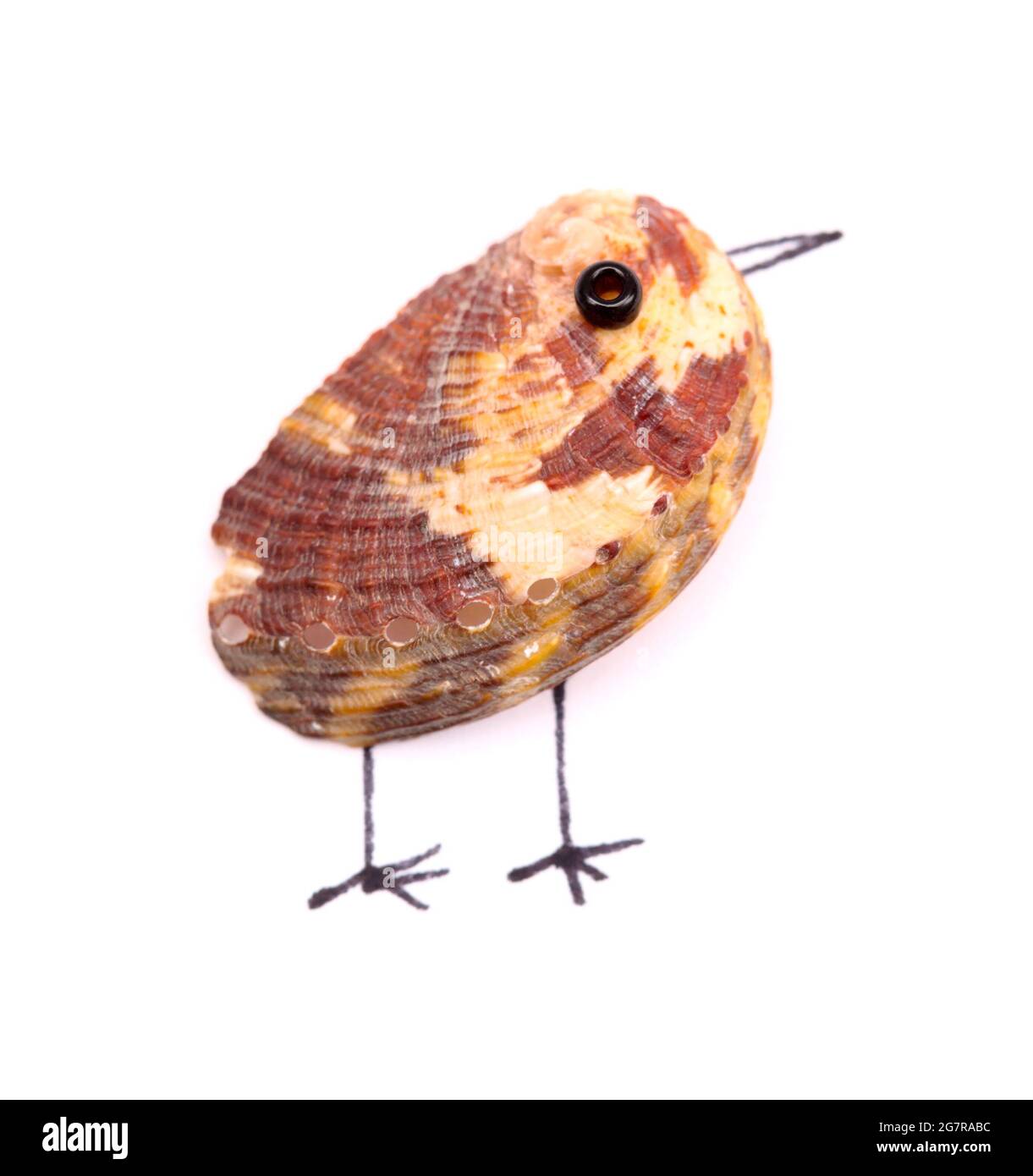 funny little birds made of a sea shell, with sketchily drawn legs ...