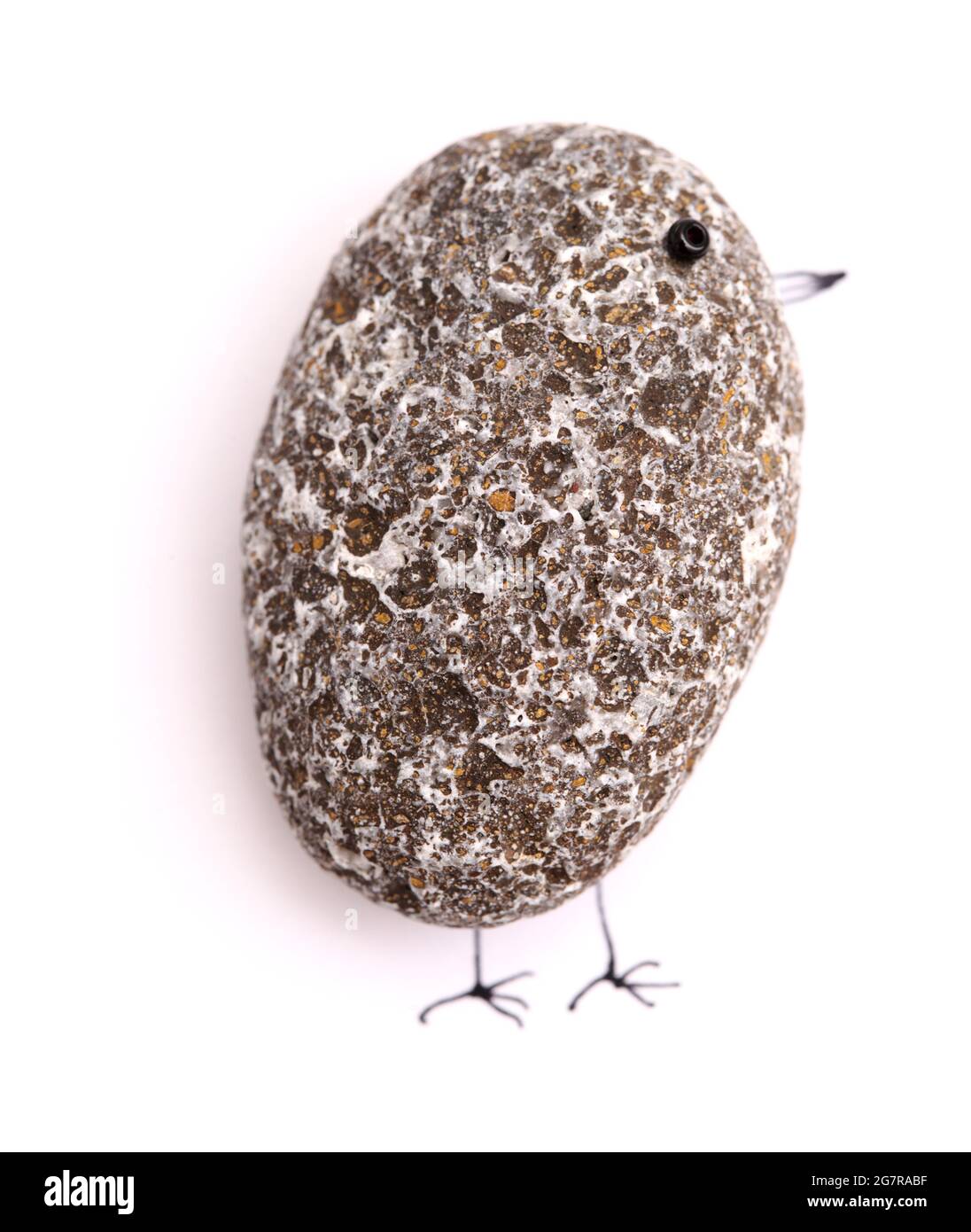 funny little birds made of a sea shell, with sketchily drawn legs ...