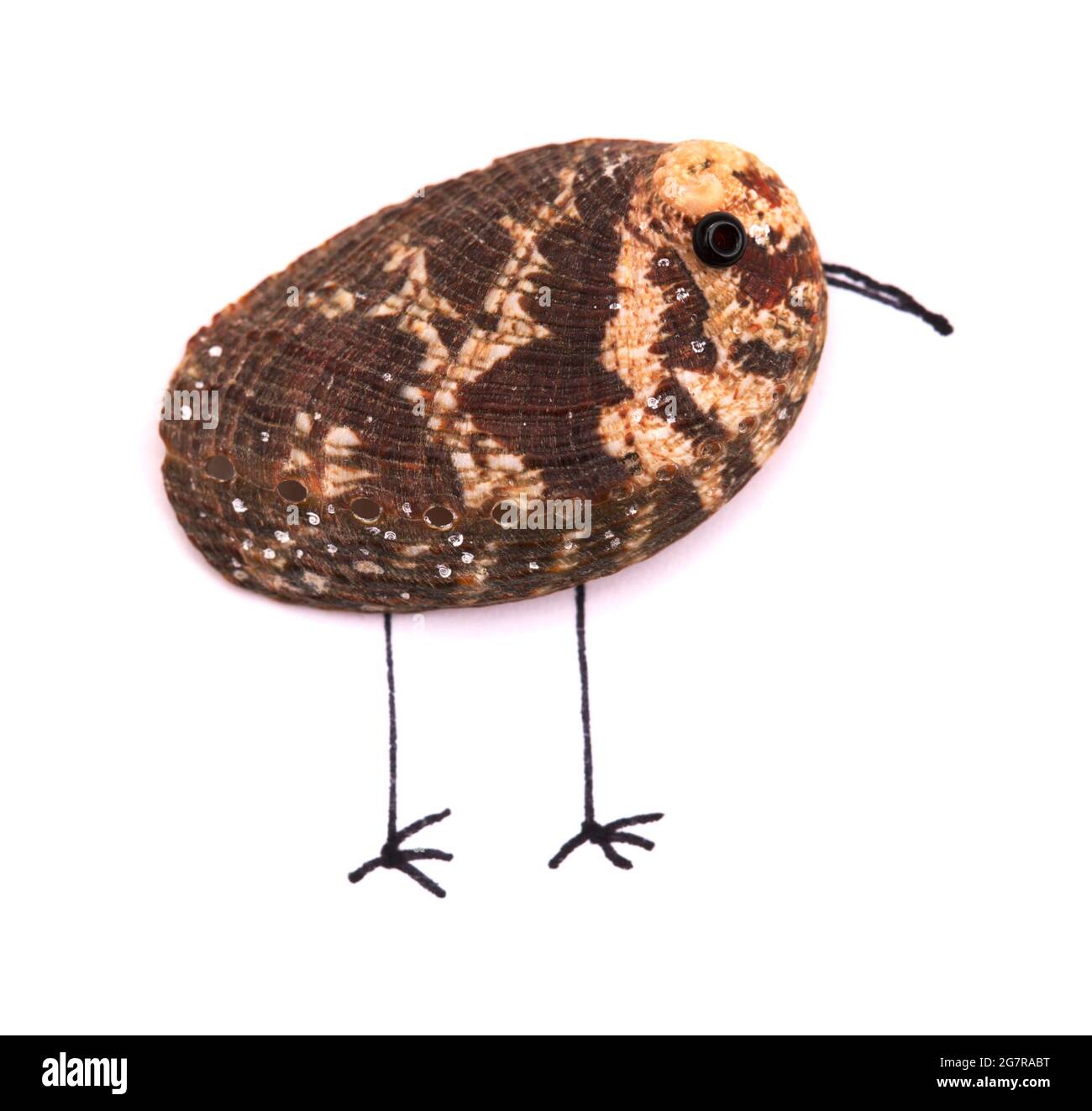 funny little birds made of a sea shell, with sketchily drawn legs ...