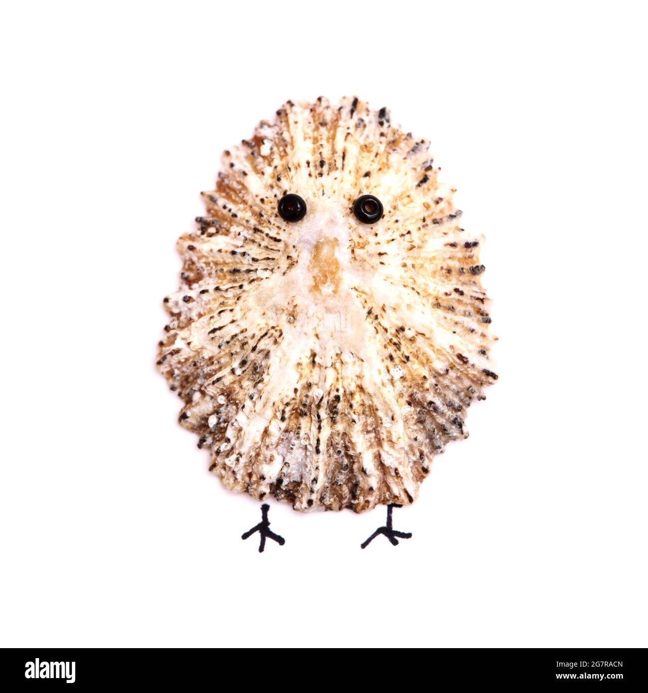 funny little birds made of a sea shell, with sketchily drawn legs ...