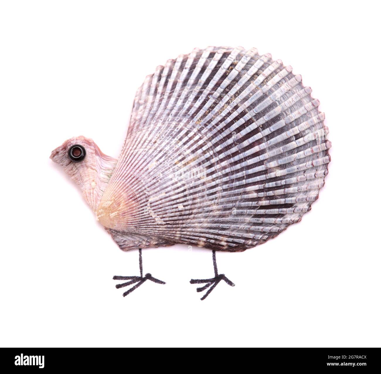 funny little birds made of a sea shell, with sketchily drawn legs ...