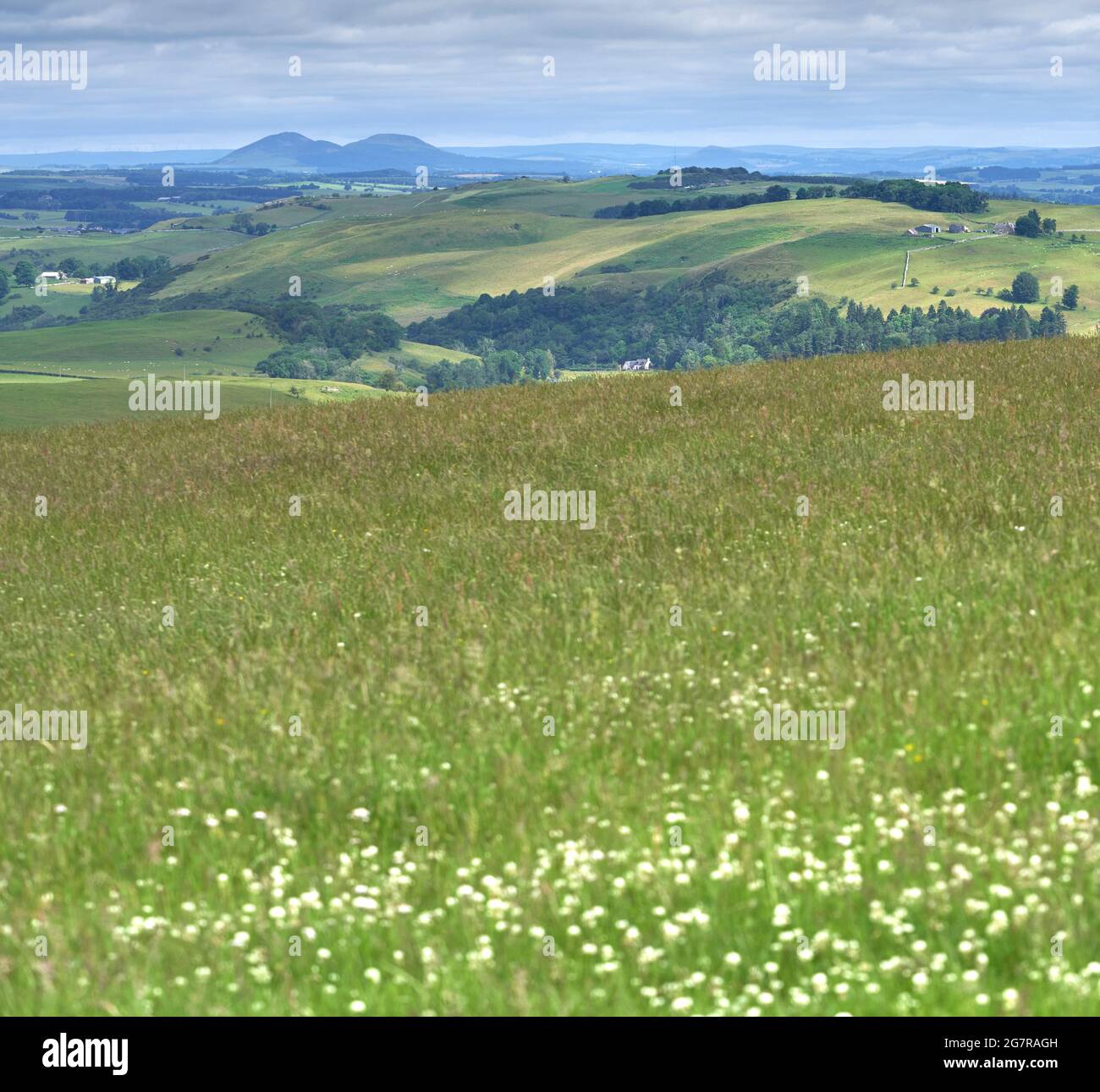 Mixed farming hi-res stock photography and images - Alamy