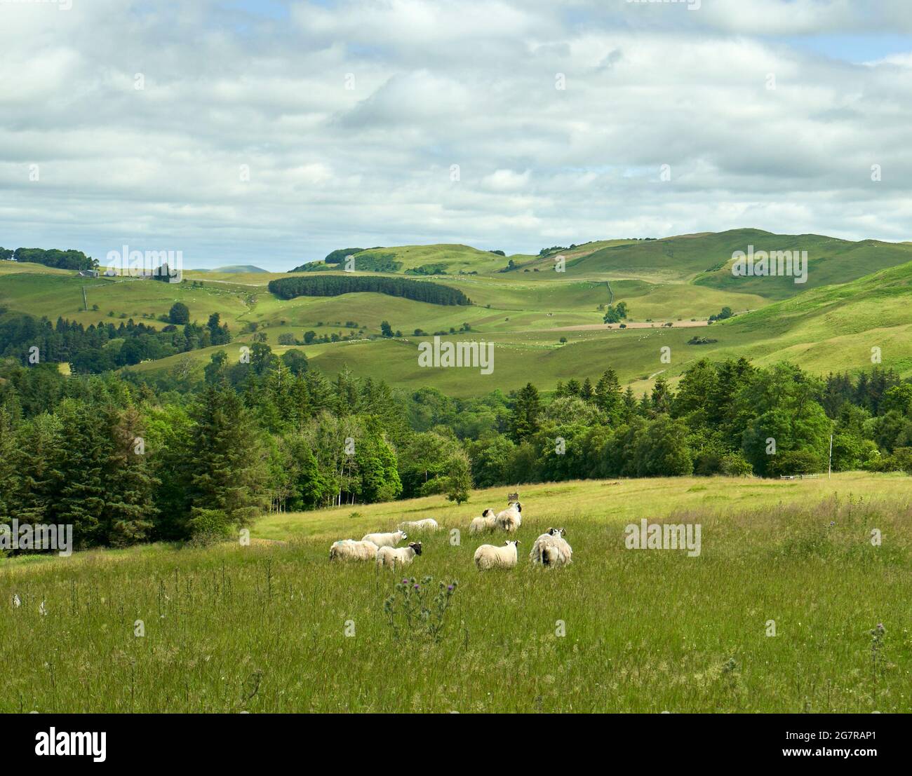 View from Stobs Camp looking north towards Hawick in the Scottish ...