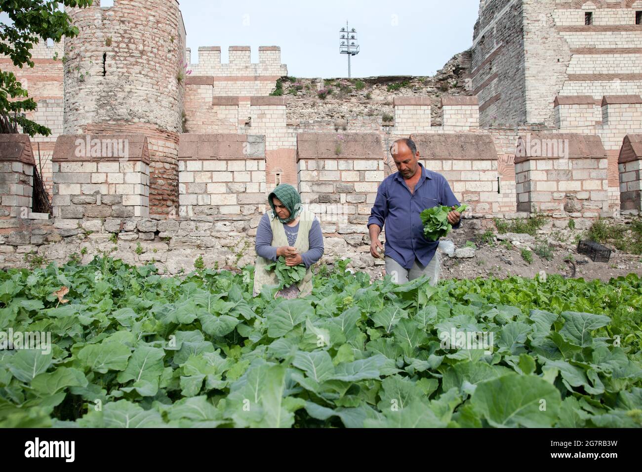 Byzantine agriculture hi-res stock photography and images - Alamy