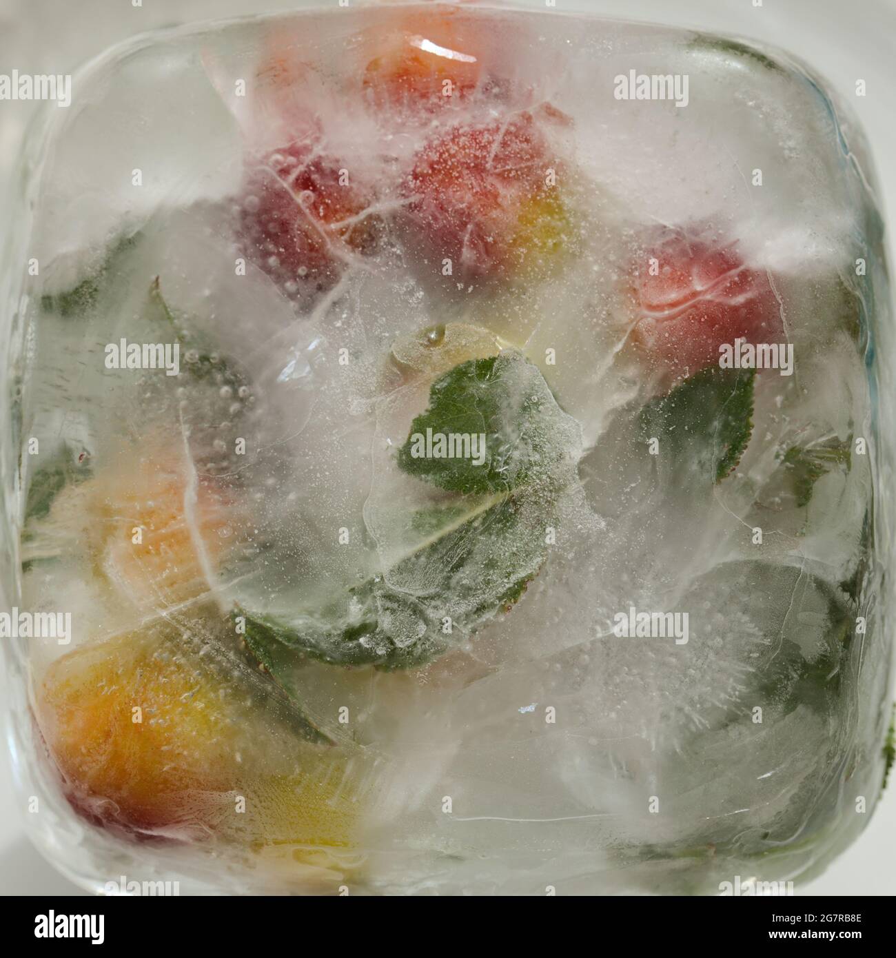 Ice texture with small round plums inside the layer of ice Stock Photo ...