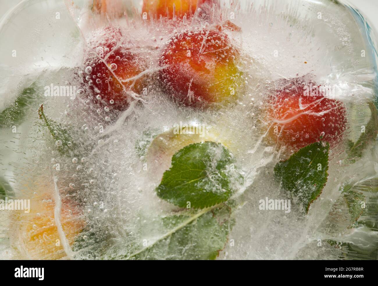 Ice texture with small round plums inside the layer of ice Stock Photo ...