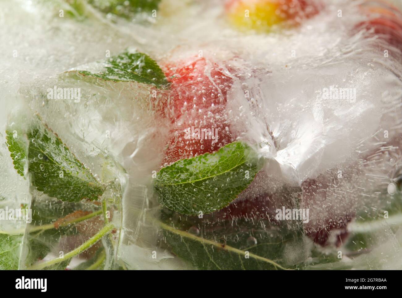 Ice texture with small round plums inside the layer of ice Stock Photo ...