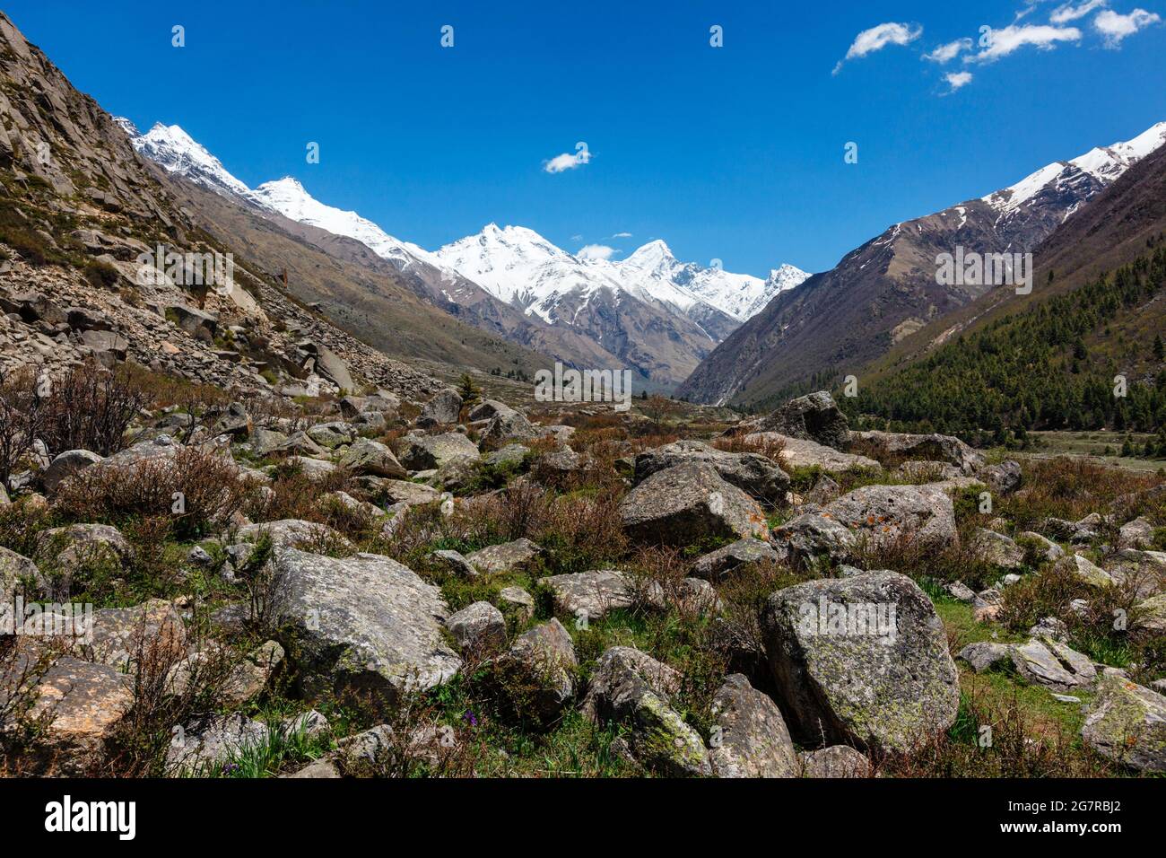 View from Chitkul Village, Himachal Pradesh Stock Photo - Alamy
