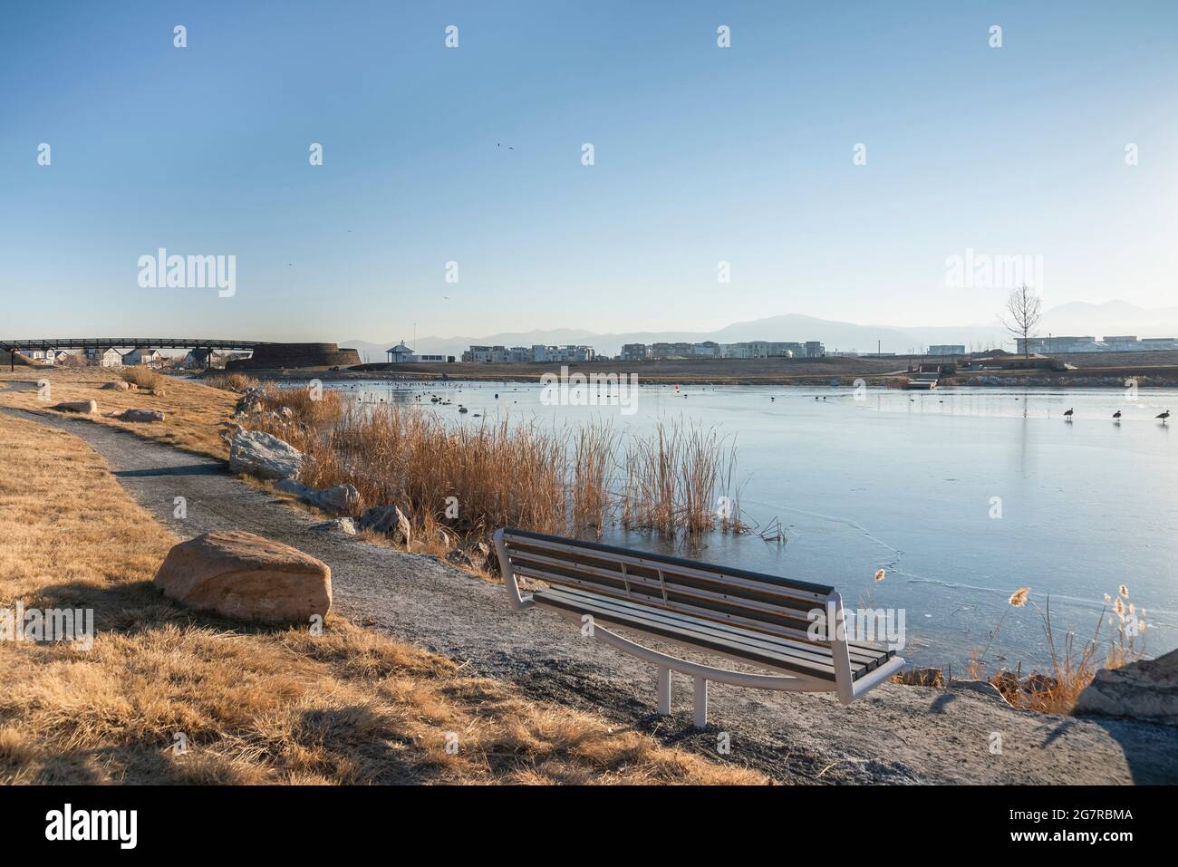 Viewing metal bench at the front of a lake with grasses and floating ...