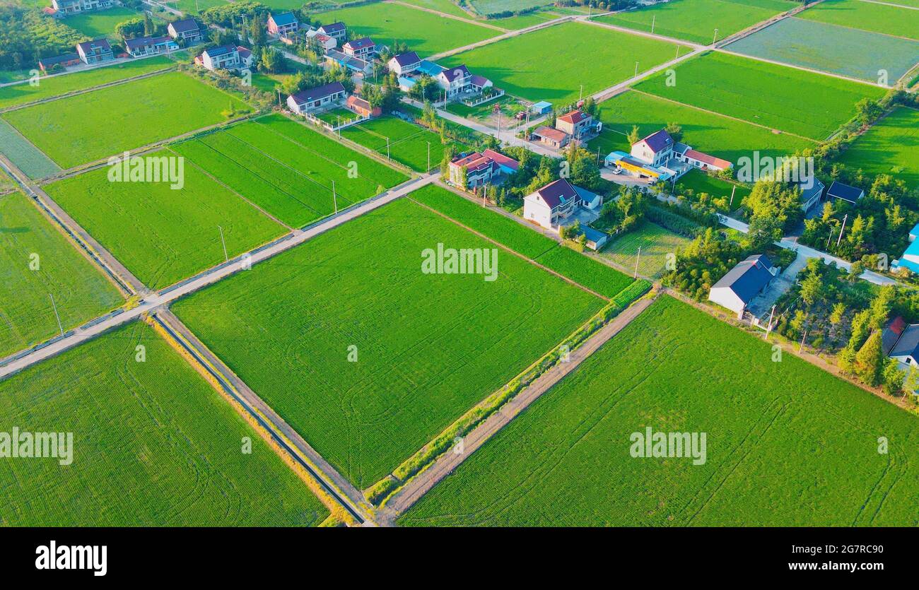 Rugao, China. 16th July, 2021. On July 14, 2021, a bird's eye view of ...