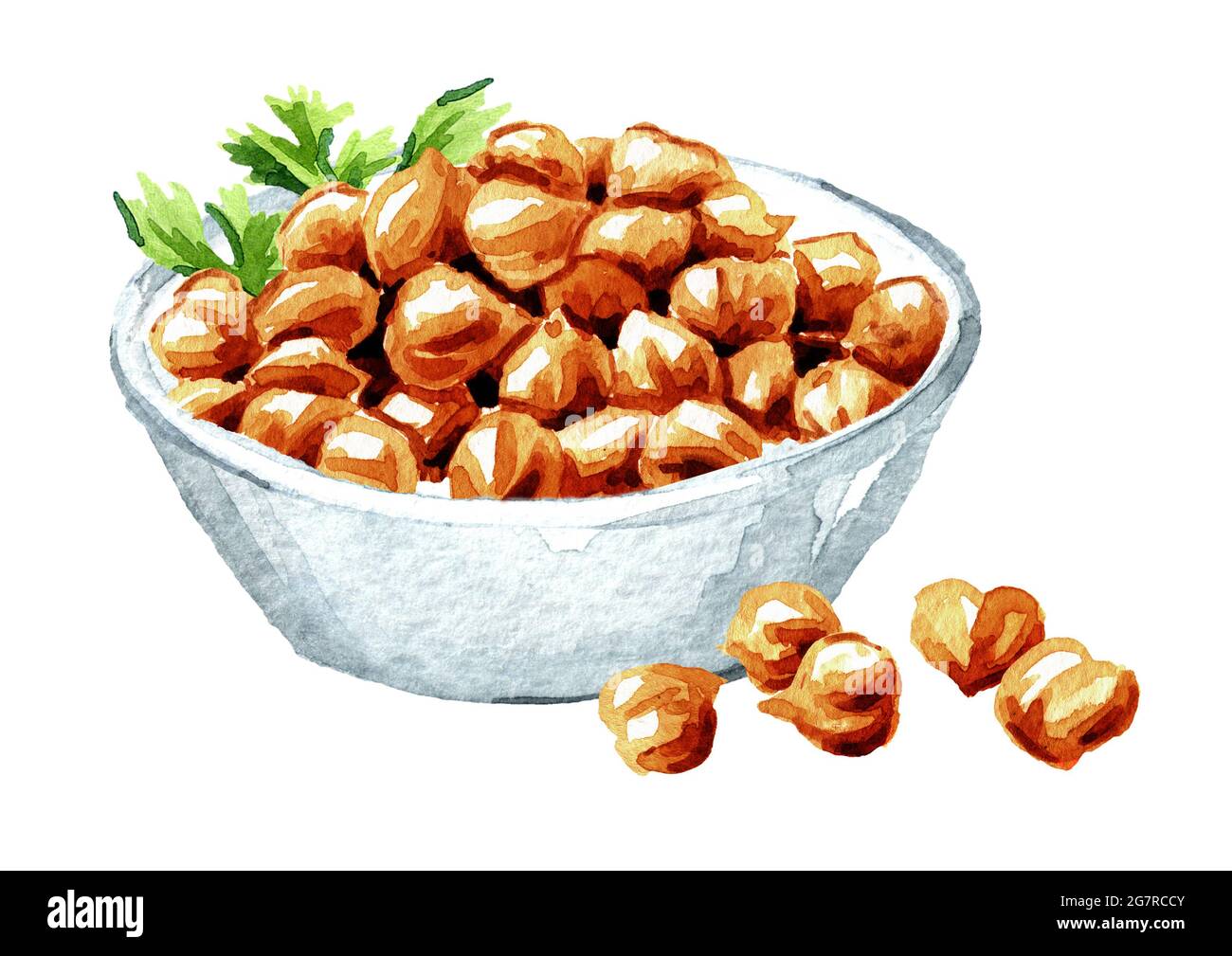 Roasted chickpeas with spices. Hand drawn watercolor illustrations ...