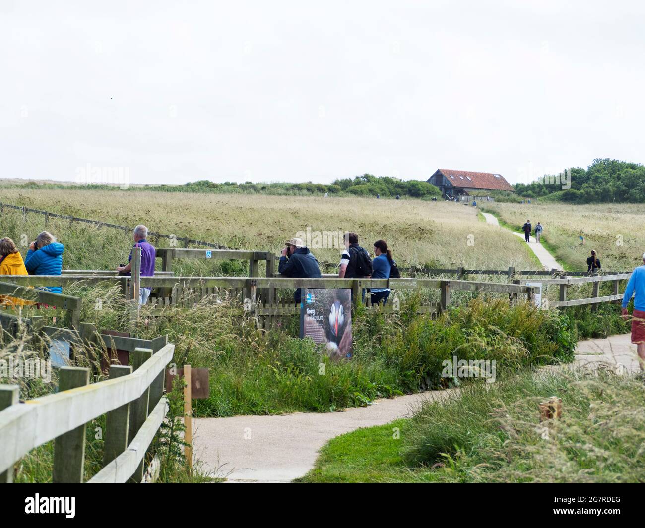 Rspb shop hi-res stock photography and images - Alamy