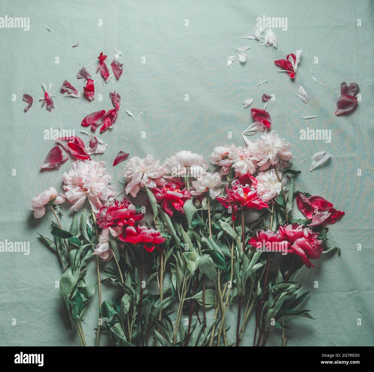 Scattered flowers wedding hi-res stock photography and images - Alamy