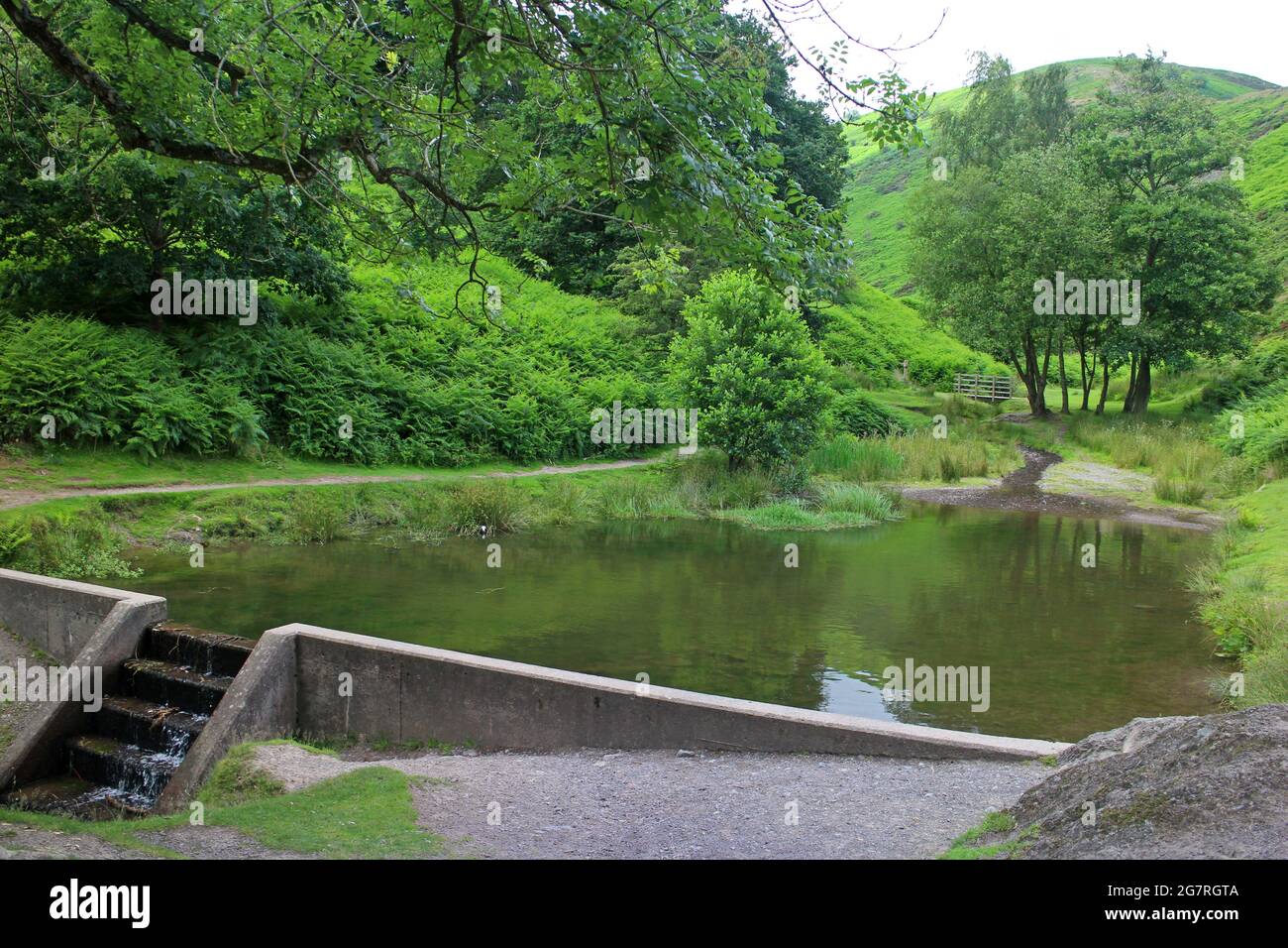Pool of water in Carding Mill Valley walk, Shropshire Stock Photo - Alamy