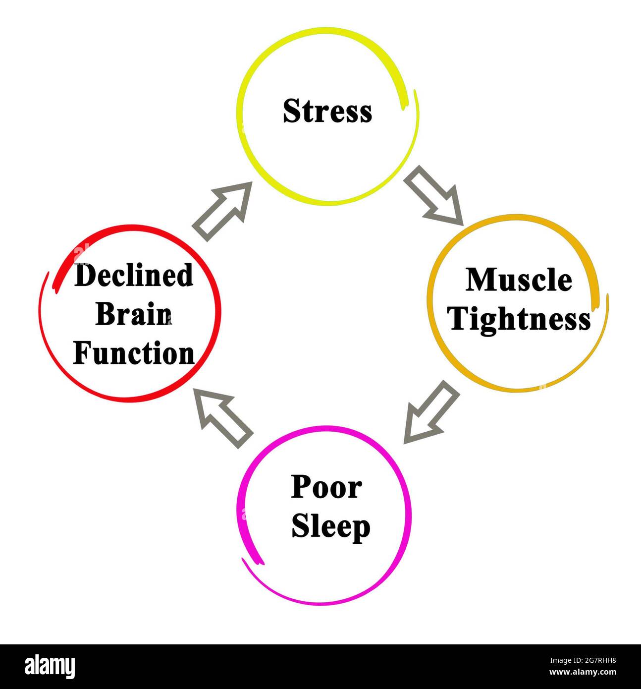 Functions of the brain Cut Out Stock Images & Pictures - Alamy