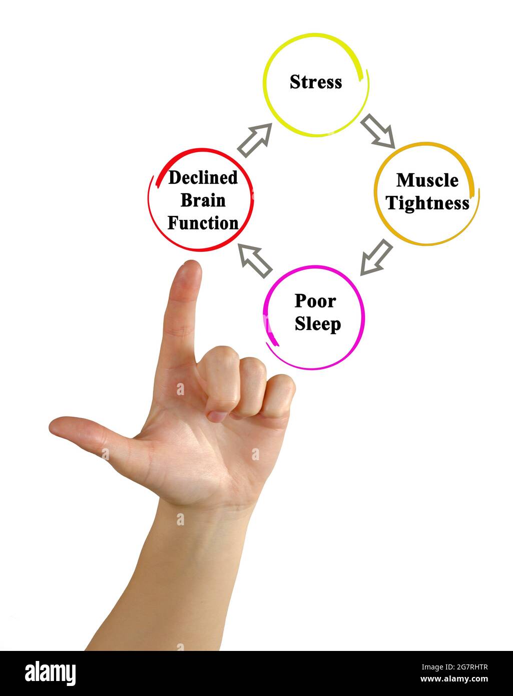 Declining brain Cut Out Stock Images & Pictures - Alamy