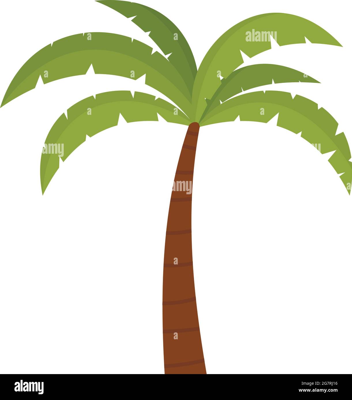 Palm tree icon. Flat illustration of palm tree vector icon isolated on ...