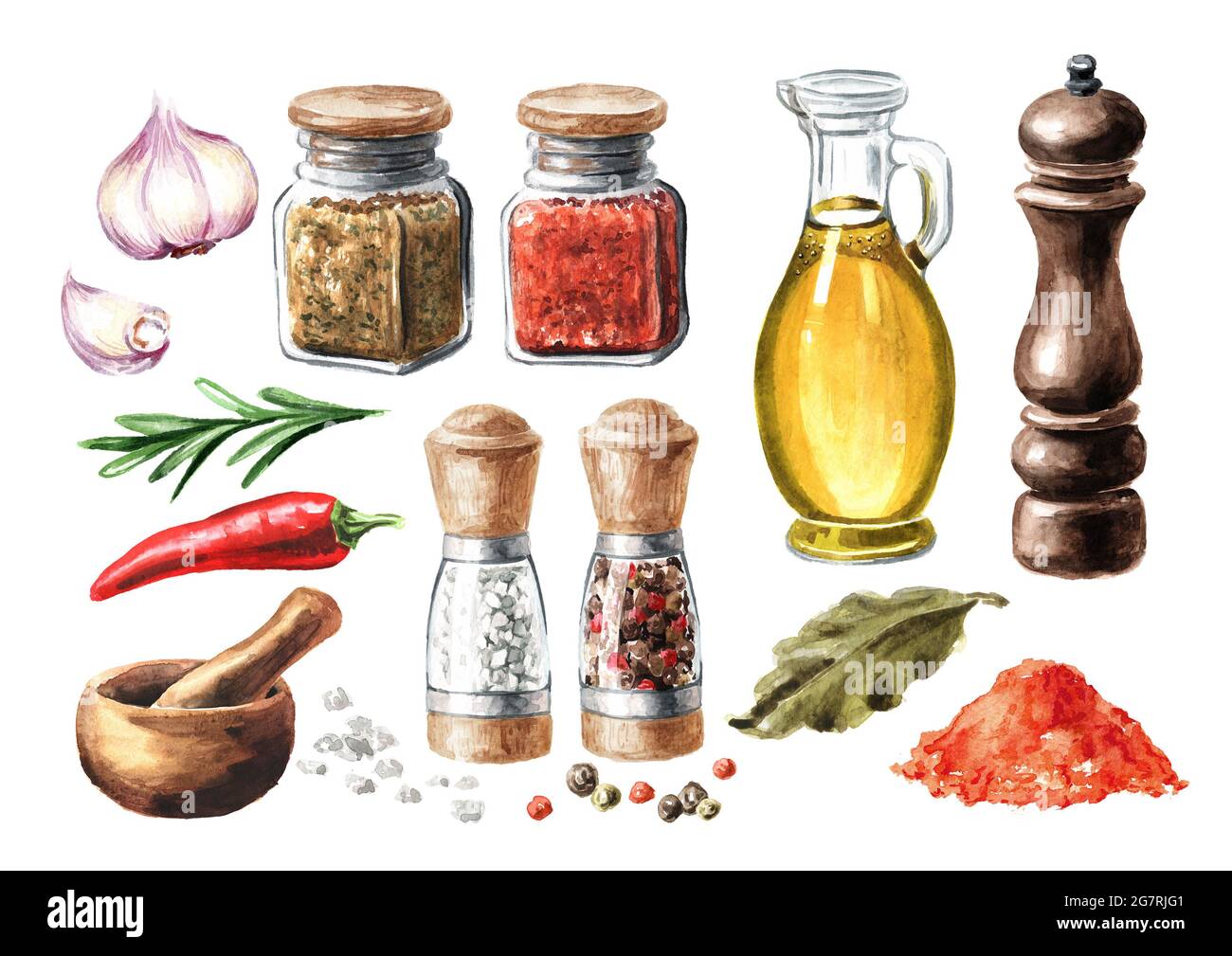 Kitchen herbs and spices set. Olive oil, rosemary, garlic, chili pepper ...