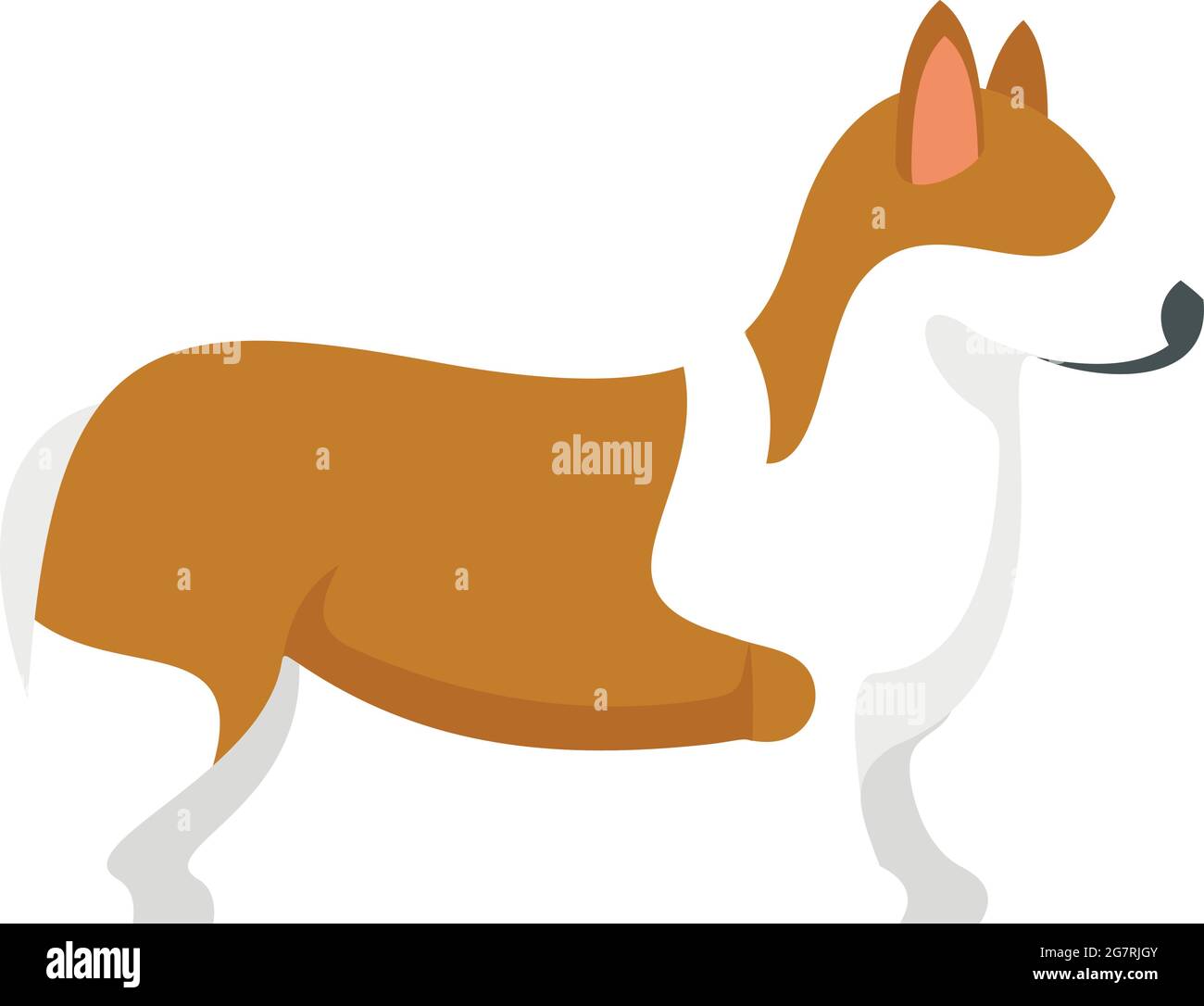 Corgi pet icon. Flat illustration of corgi pet vector icon isolated on ...
