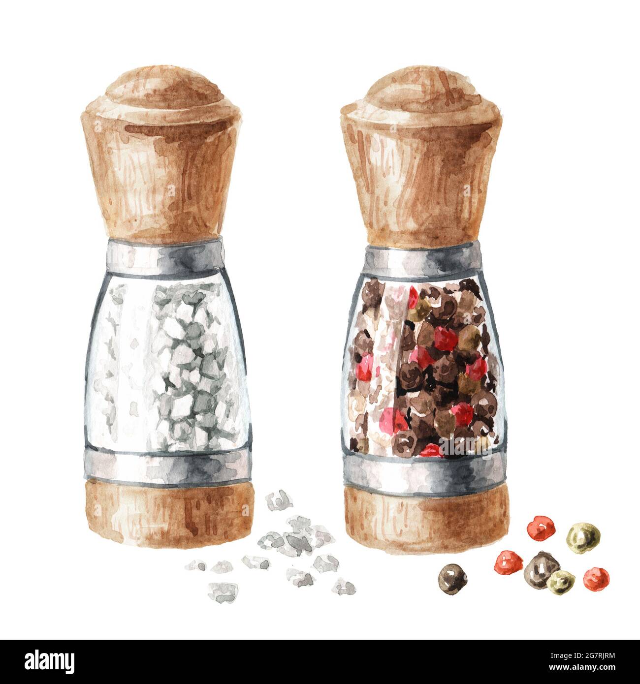 Kitchen spices. Pepper and salt mill. Hand drawn watercolor ...