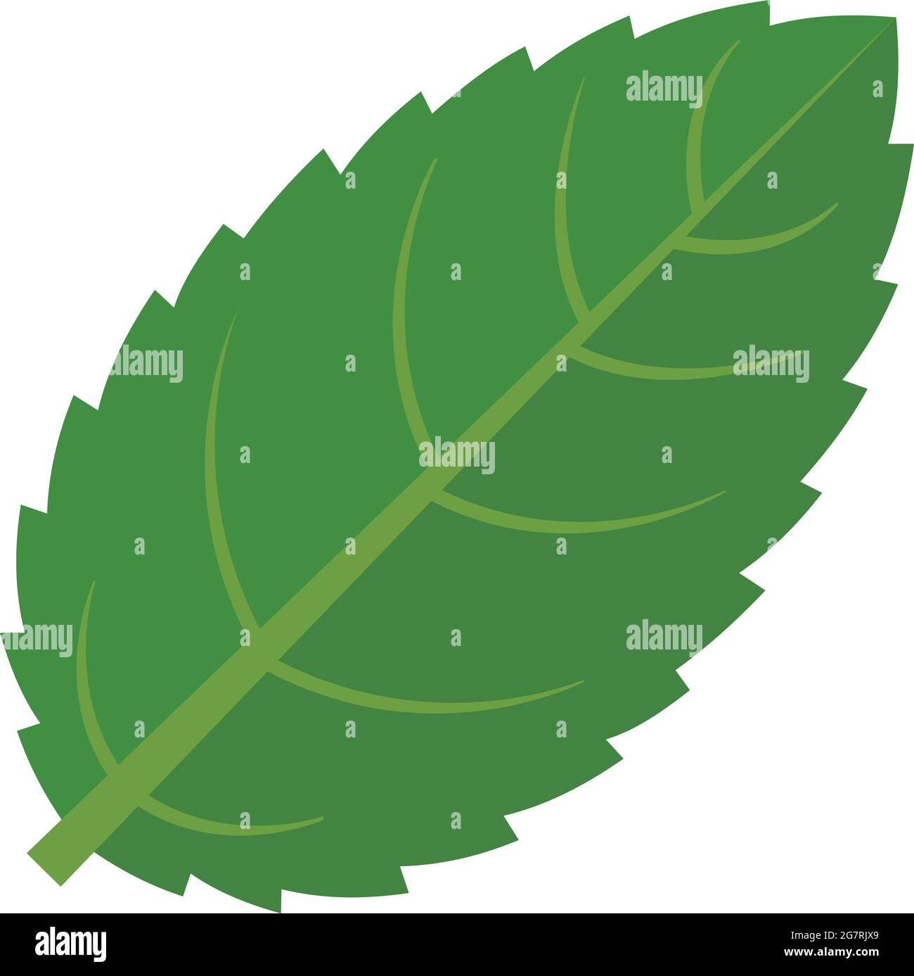 Peppermint icon. Flat illustration of peppermint vector icon isolated ...