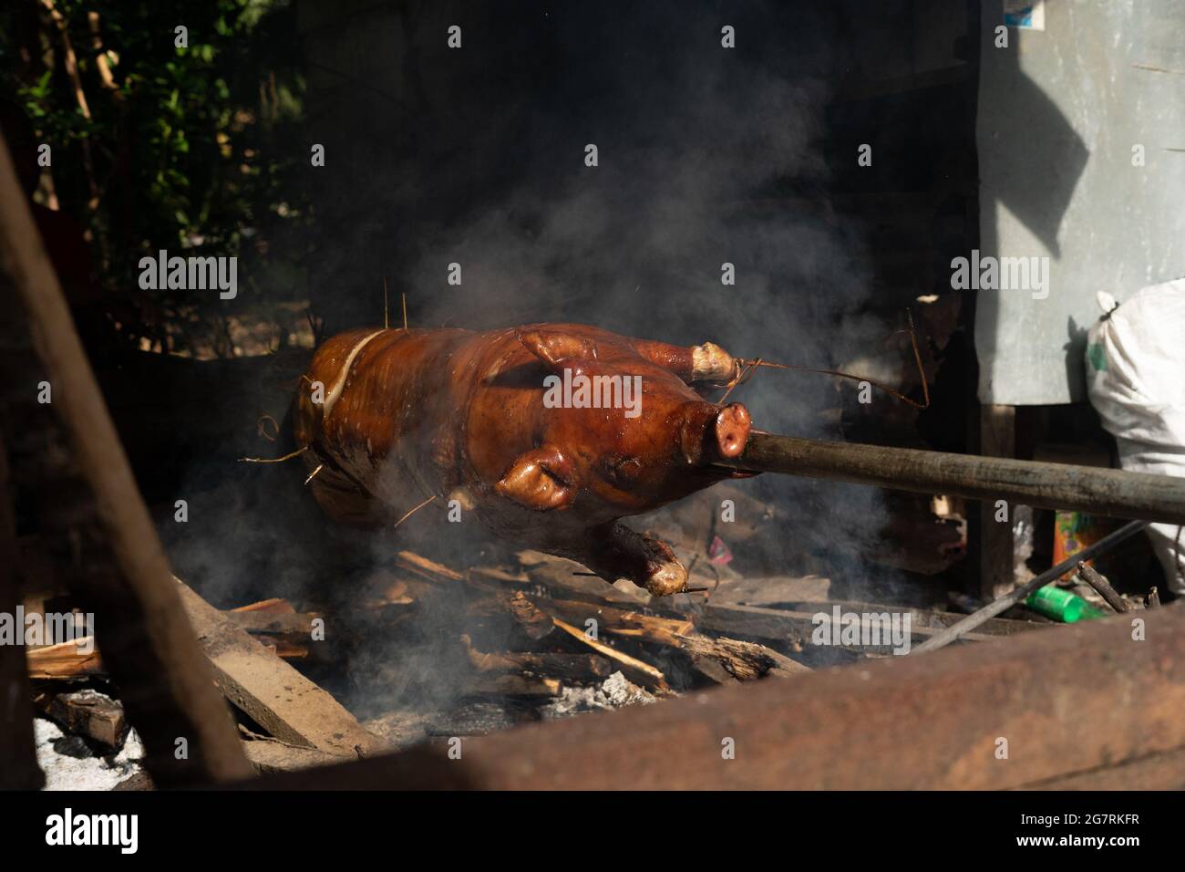 Grilled Pig Roasted on a Traditional Coal and Fire Stock Photo - Alamy