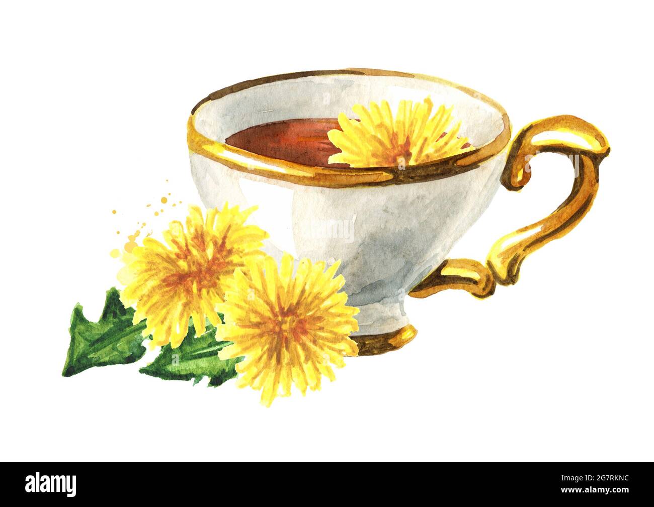 Cup of healthy herbal dandelion tea, Watercolor hand drawn illustration ...