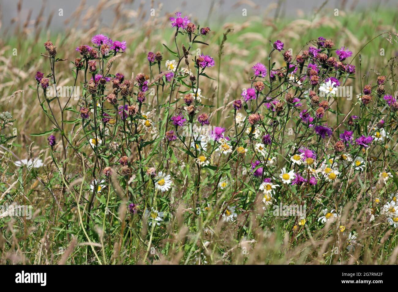 Artillery blockhouse hi-res stock photography and images - Alamy