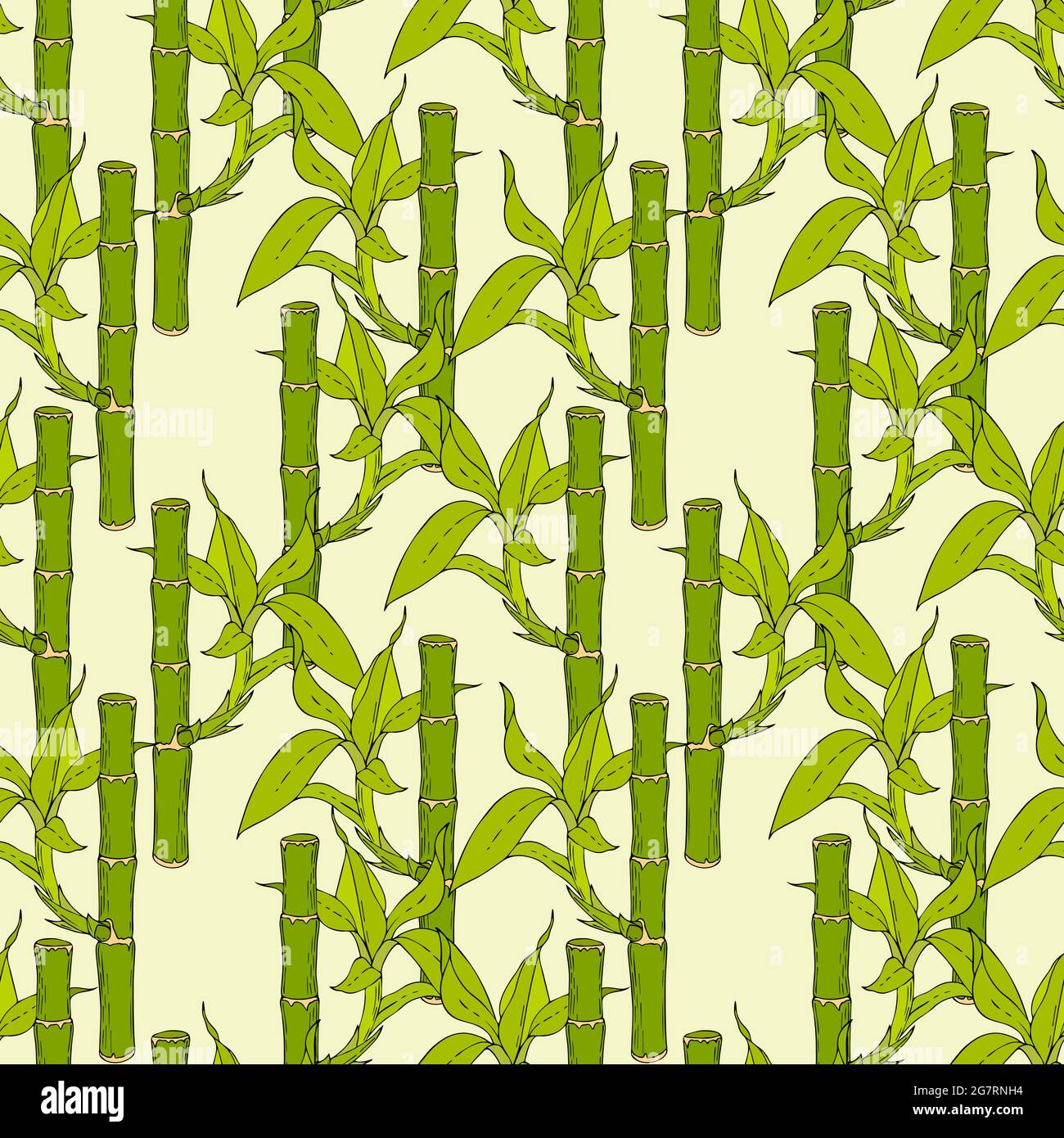Bamboo pattern seamless hand drawing doodling on light background ...