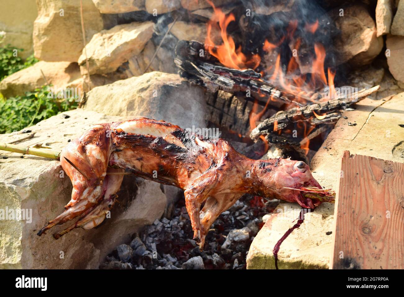 Whole rabbit is being cooked on a fire pit in the Maltese Islands Stock ...