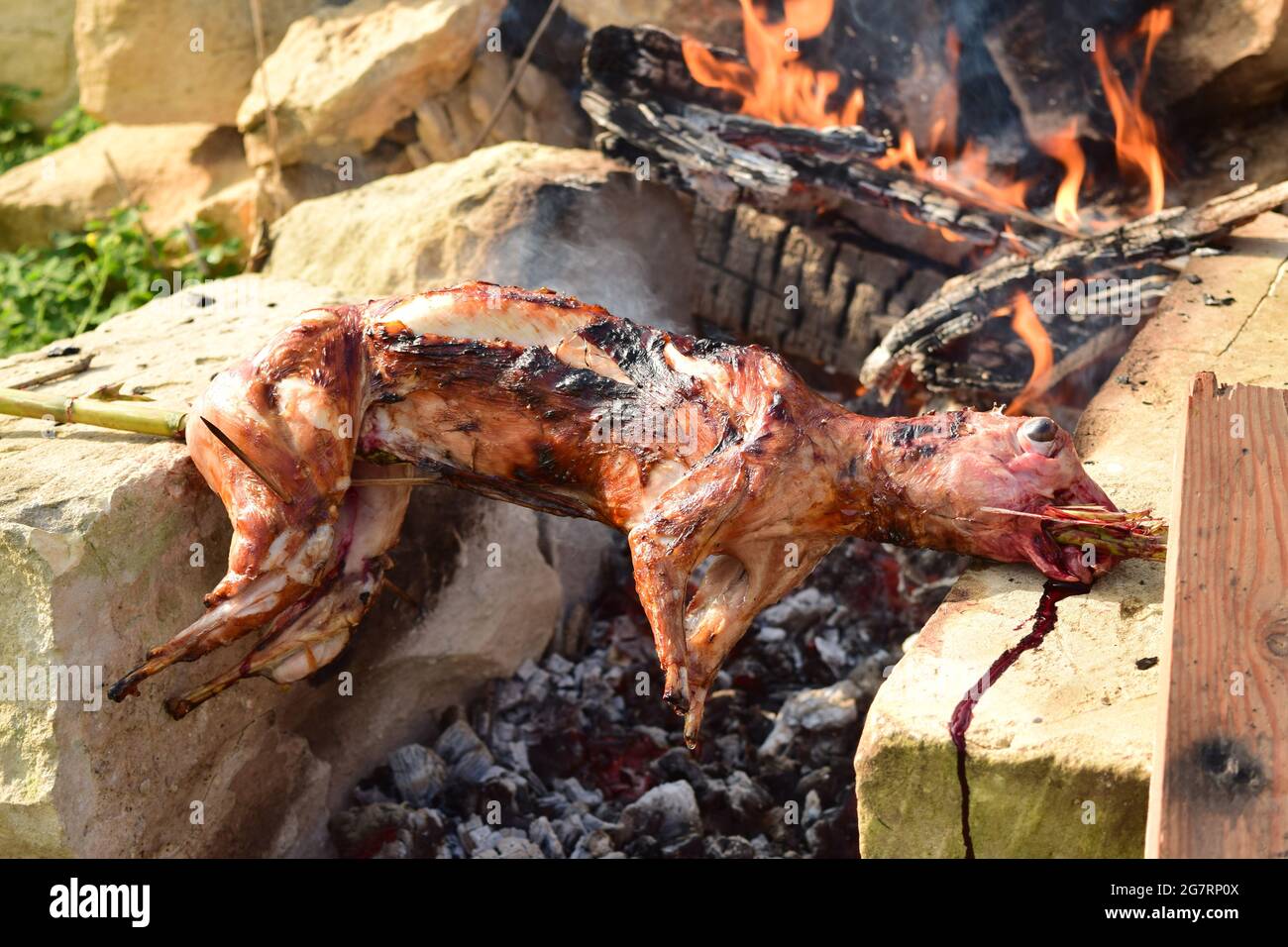 Whole rabbit is being cooked on a fire pit in the Maltese Islands Stock ...