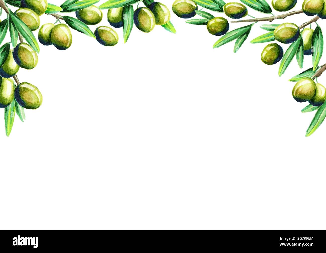 Olive card template. Watercolor Stock Photo - Alamy