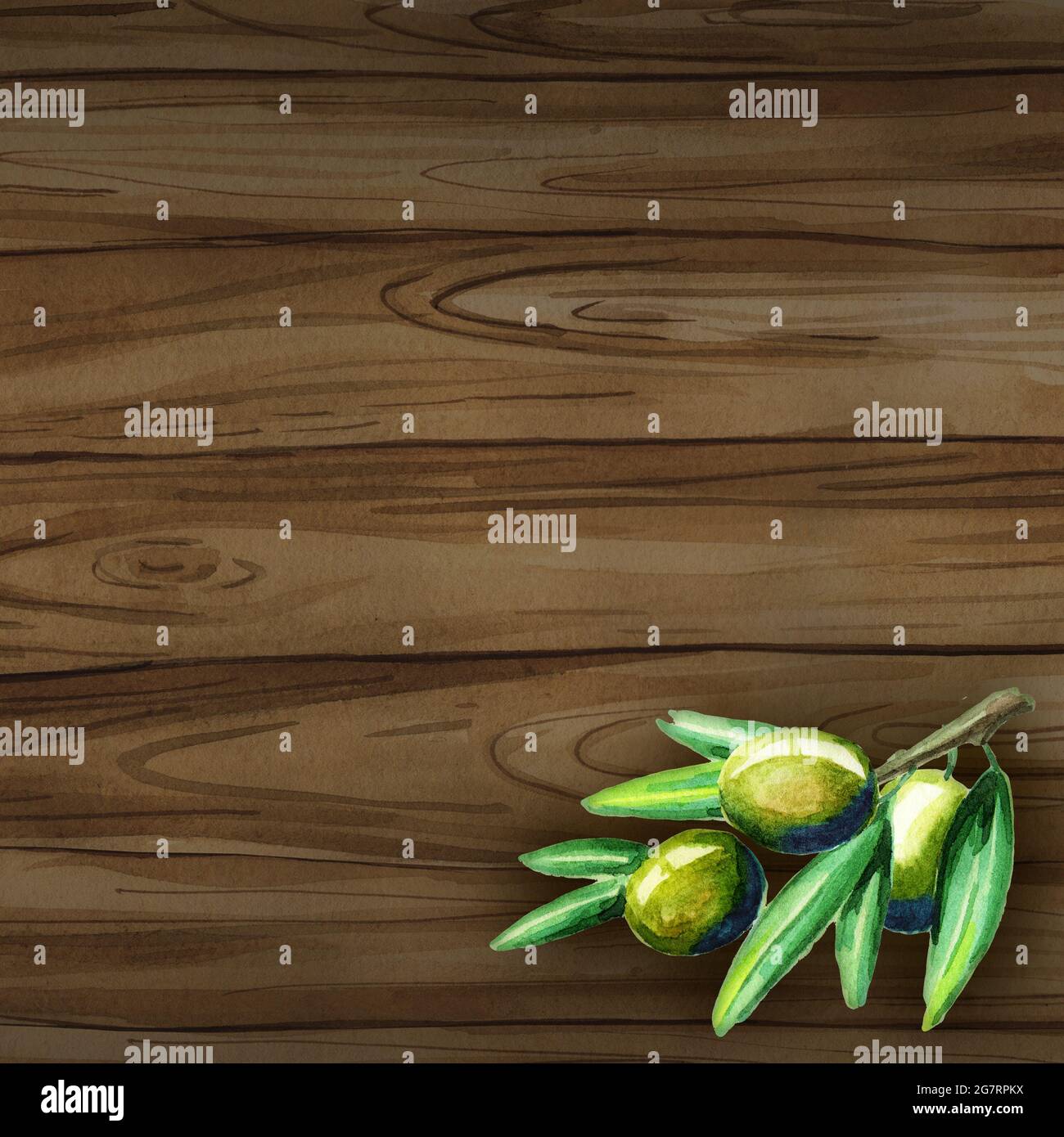 Olive watercolor dark background Stock Photo - Alamy