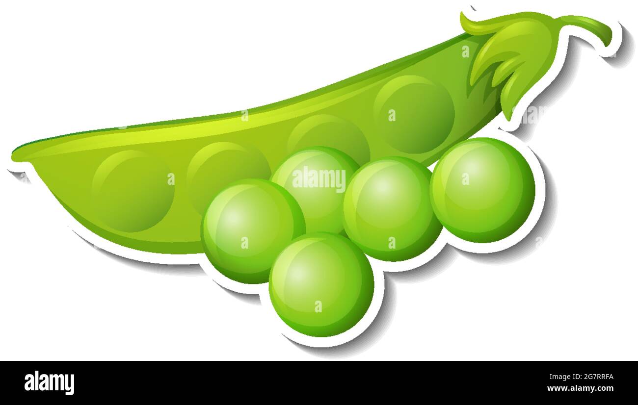 Green beans sticker on white background illustration Stock Vector Image ...