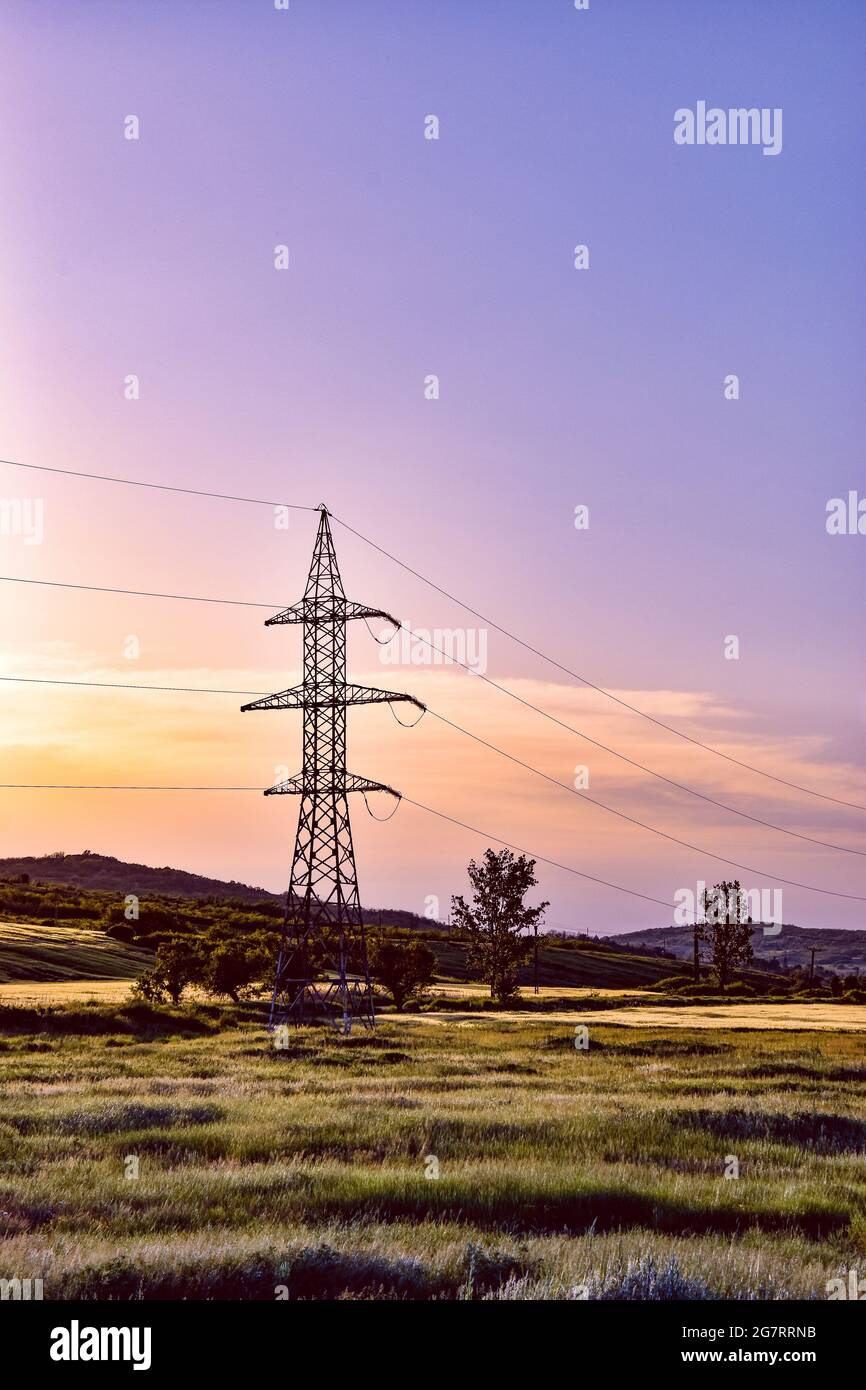 Power line in a sunset field Stock Photo - Alamy