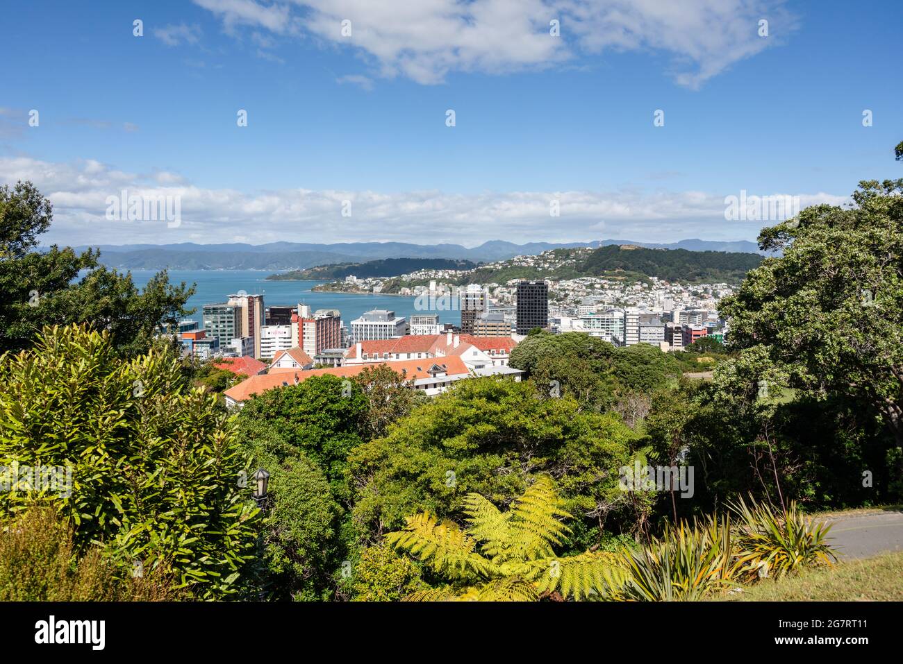 Wellington new zealand downtown skyscrapers hi-res stock photography ...